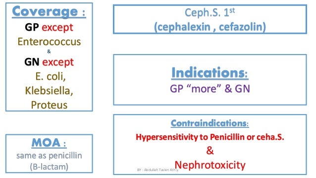 Antibiotics simplified