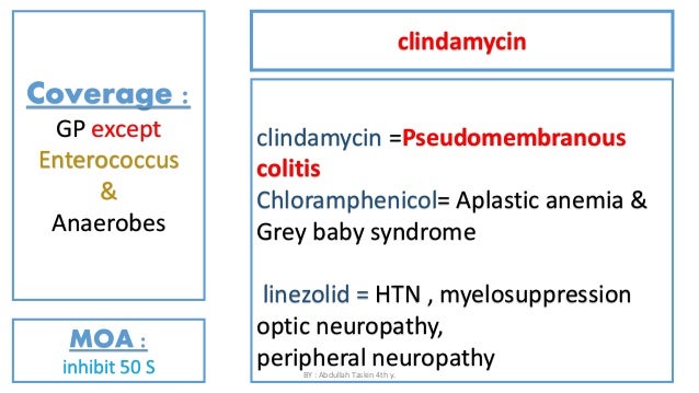 Antibiotics simplified