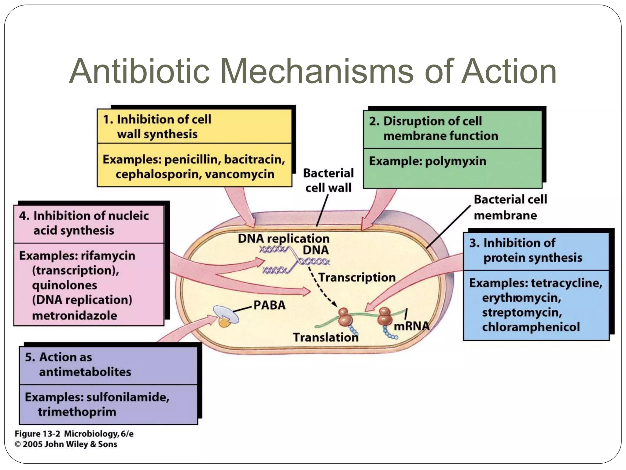Antibiotic susceptibility of multidrug-resistant nosocomial bacteria ...