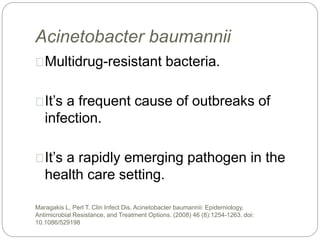 Antibiotic susceptibility of multidrug-resistant nosocomial bacteria Acinetobacter baumannii | PPTX