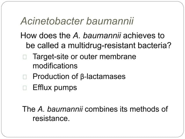 Antibiotic susceptibility of multidrug-resistant nosocomial bacteria ...