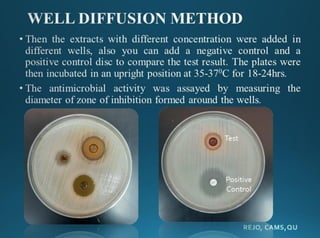 Antibiotic Sensitivity test (AST) | PDF