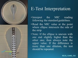 Antibiotic Sensitivity test (AST) | PDF