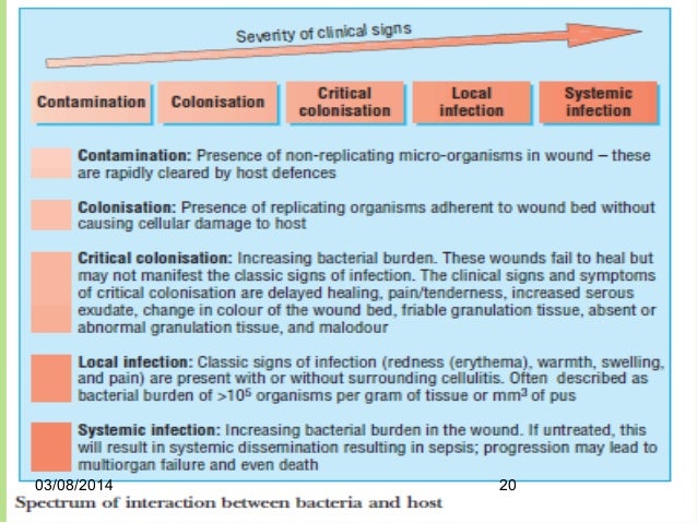 Wound Infection Signs