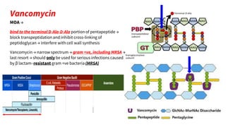 Antibiotic therapy (Focus on pneumonia) | PPT