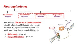 Antibiotic therapy (Focus on pneumonia) | PPT