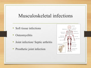 Antibiotic therapy in musculoskeletal infection | PPTX