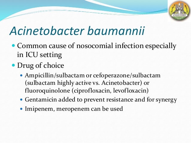 Antibiotic update in icu