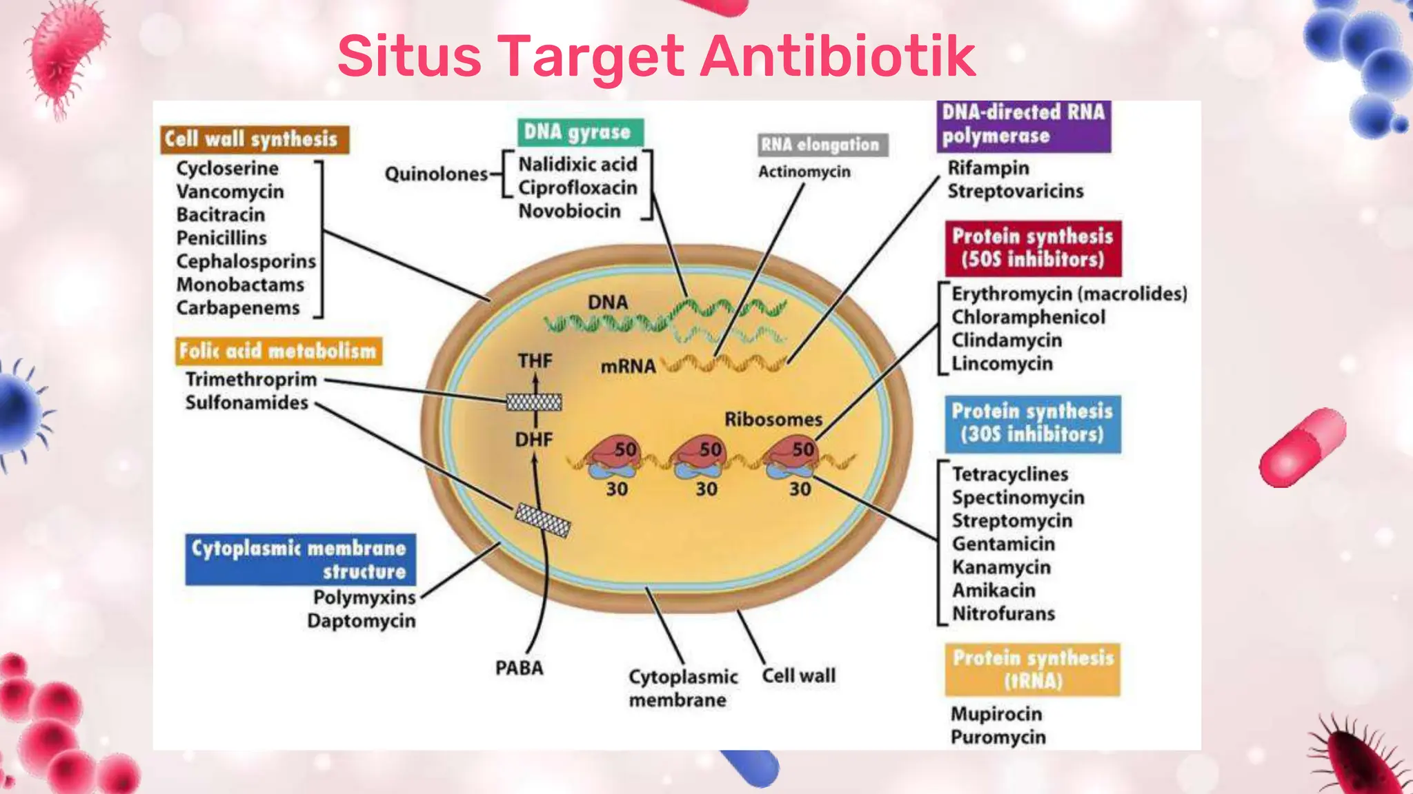 ANTIBIOTIK adalah obat yang berguna .pptx