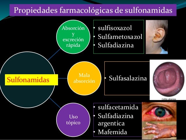acompañamiento farmaco quinolonas at emaze Presentation