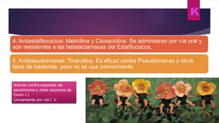 Antibióticos Betalactamicos.pptx
