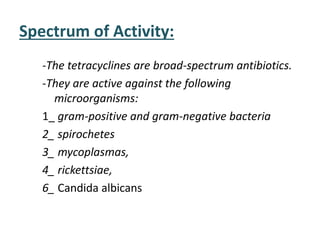 Aminoglycoside and Tetracyclines Antibiotics | PPTX