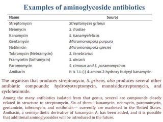 Aminoglycoside and Tetracyclines Antibiotics | PPTX