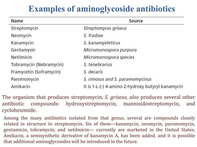 Aminoglycoside and Tetracyclines Antibiotics | PPTX