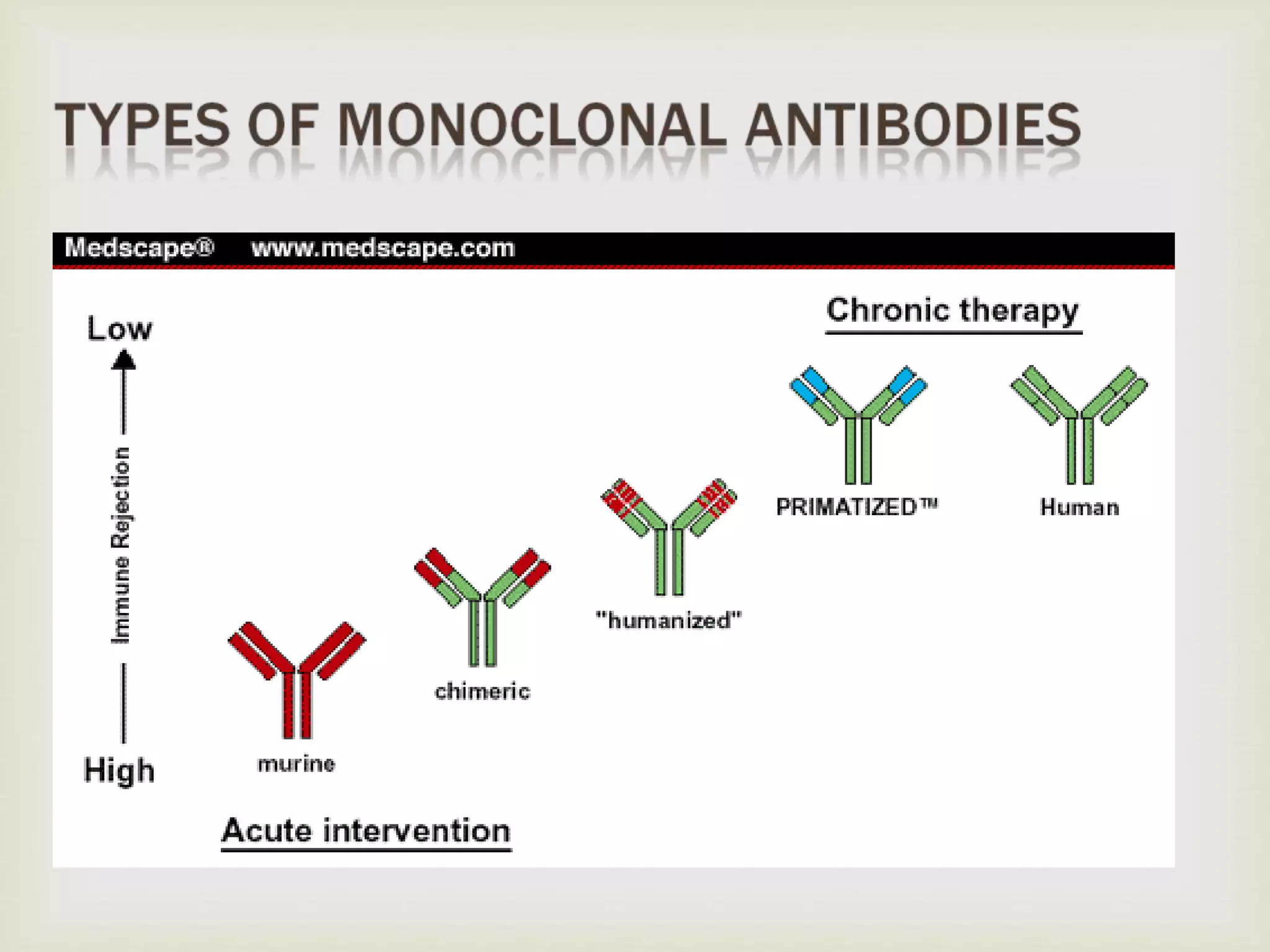 Monoclonal Antibodies as drug delivery system | PPTX