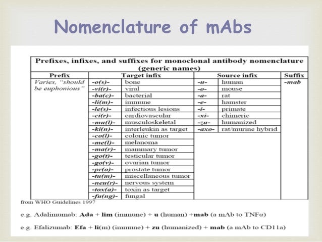 Monoclonal Antibodies as drug delivery system