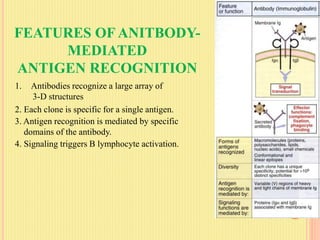 Antibodies | PPT