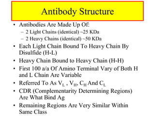 Antibodies | PPT