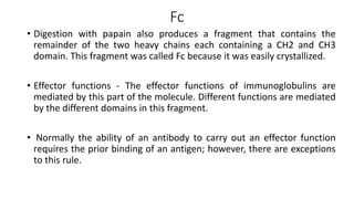 Antibodies | PPT