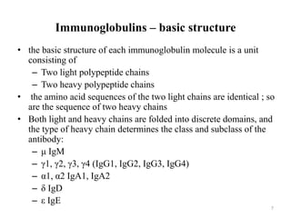 Antibodies.pptx | Chemistry | Science