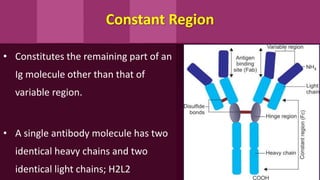 Antibodies.pptxa.pptx