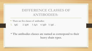 the antibodies and its different classes.pptx
