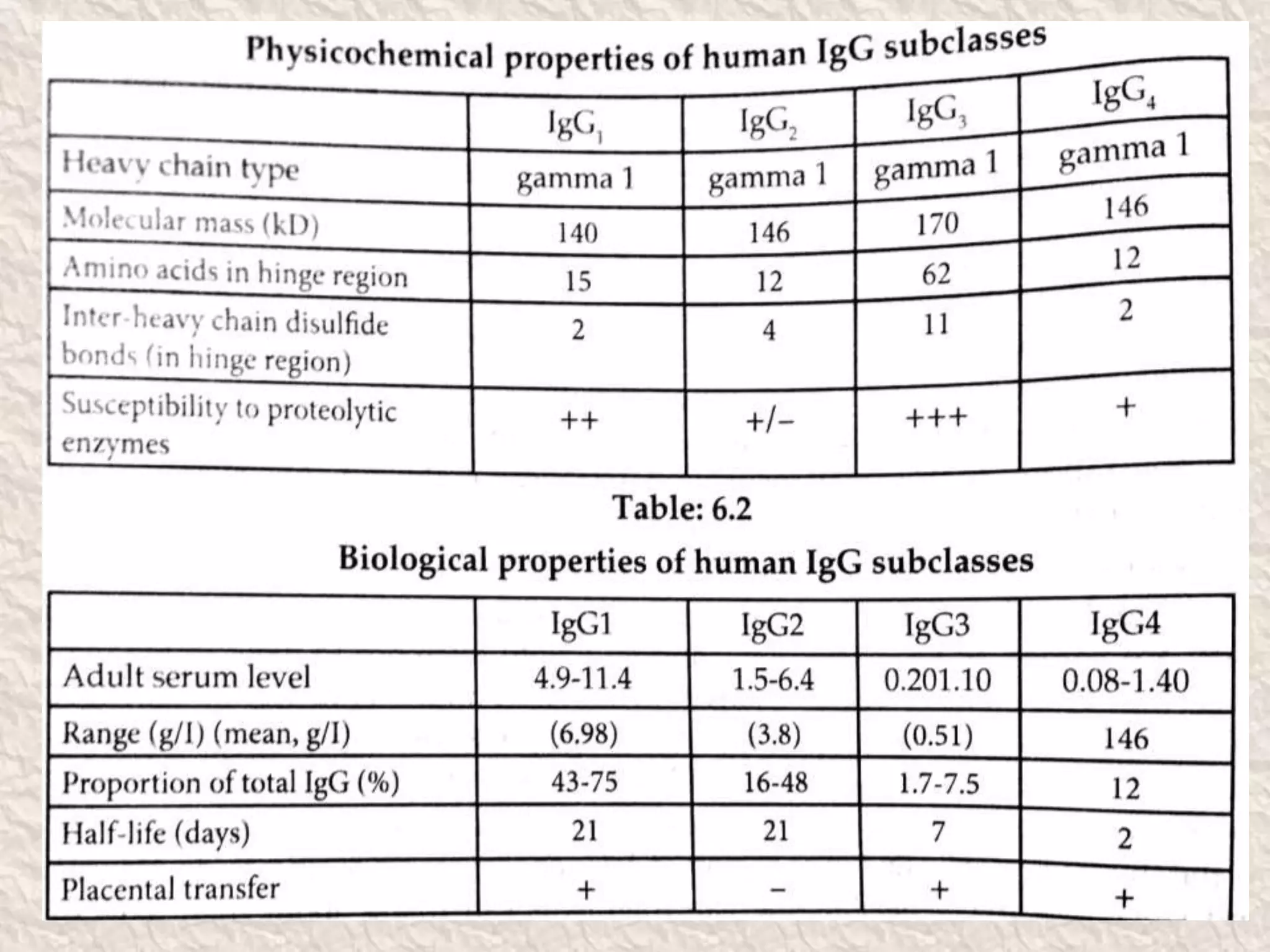 Antibodies and their types with functions | PPTX