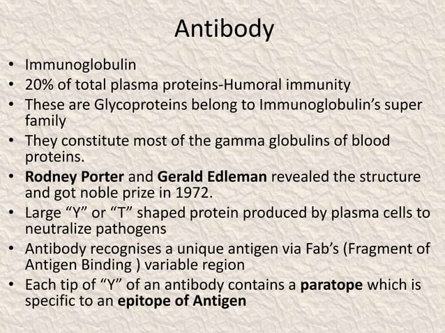 Antibodies and their types with functions | PPTX | Chemistry | Science