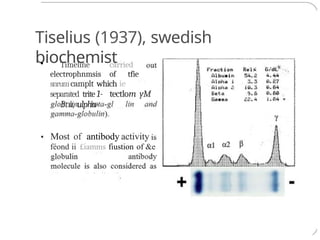 antibodies-immunoglobulins. .pptx
