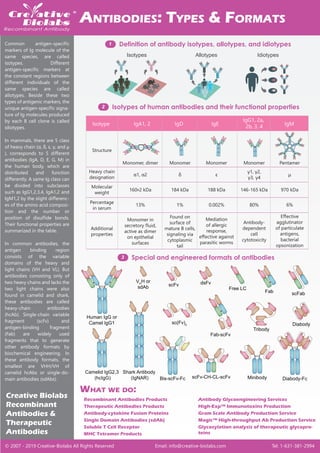 Antibodies types-formats-creative-biolabs | PDF