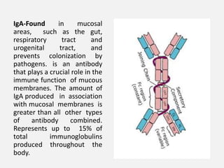 Antibodies and Types | PPTX