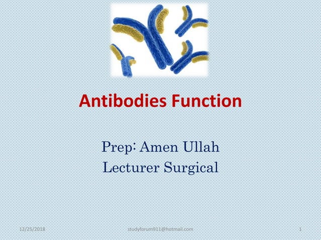 Antibodies and their function | PPTX