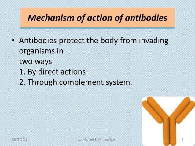 Antibodies and their function | PPTX