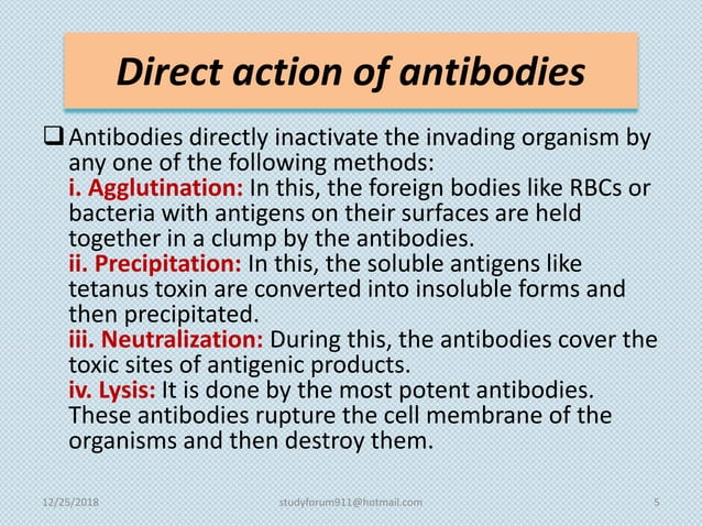 Antibodies and their function | PPTX