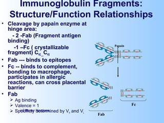Antibodies done | PPT