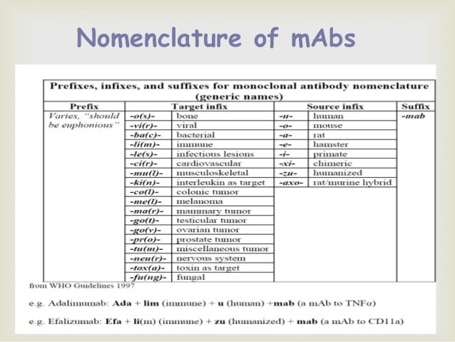 Antibodies drug delivery system