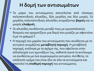Αντισώματα | PDF