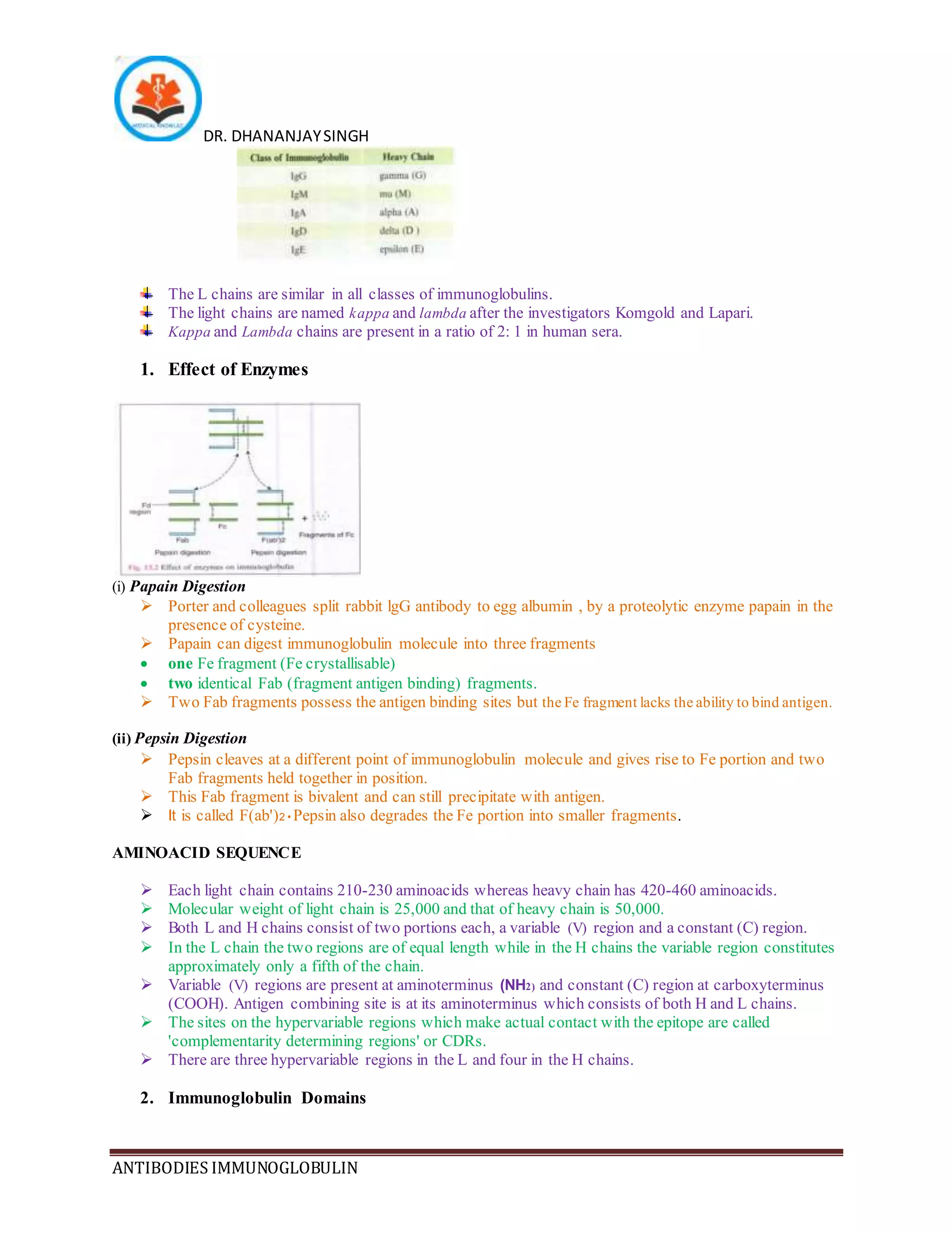 Antibodies immunoglobulin | DOCX