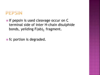 Antibodies (immunoglobulin) | PPTX