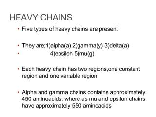 ANTIBODIES ,STRUCTURE AND ITS FUNCTIONS | PPTX | Infectious Diseases ...