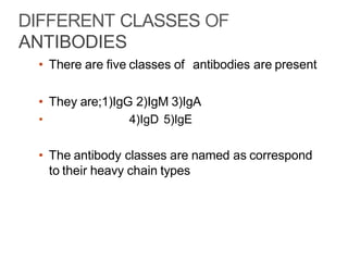 ANTIBODIES ,STRUCTURE AND ITS FUNCTIONS | PPTX | Infectious Diseases ...