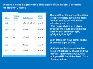 Definition of antibody and immunology types | PPT