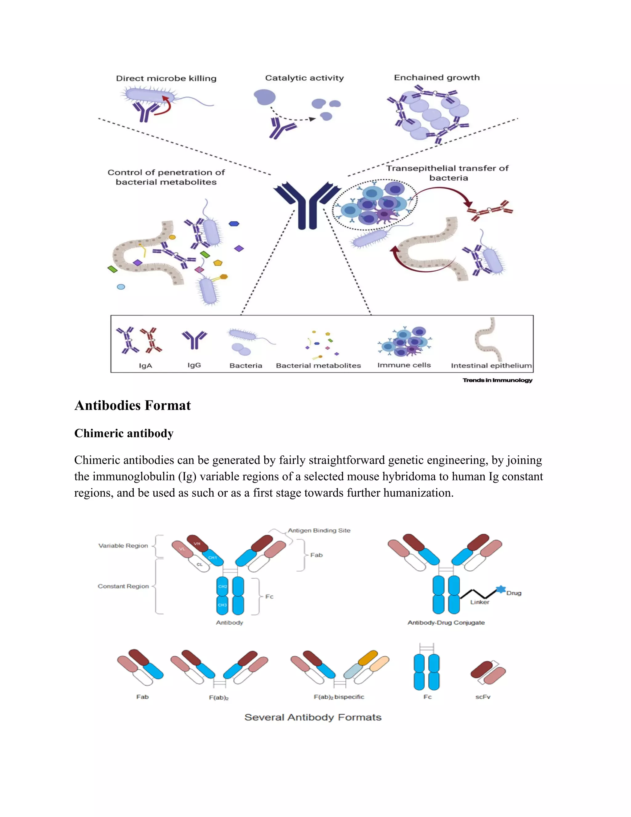Antibodies structure and functions | PDF
