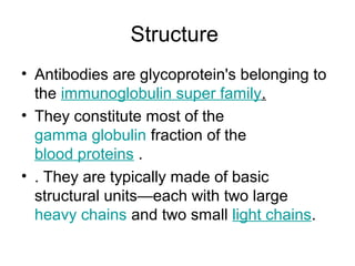 Antibody | PPT