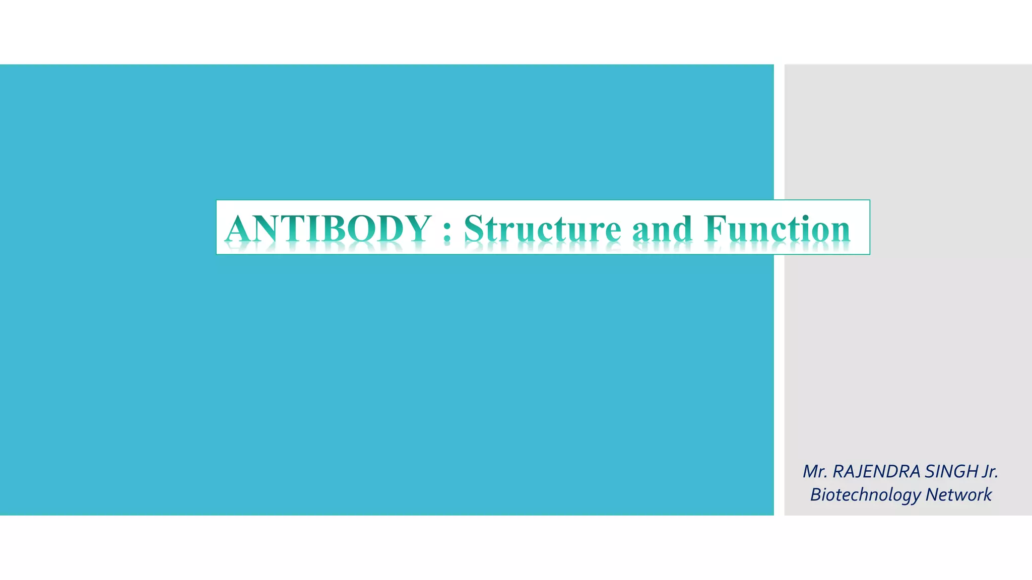 Antibody: Structure and Function | PPTX