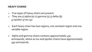 Antibody: Structure and Function | PPTX