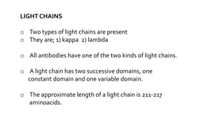 Antibody: Structure and Function | PPTX