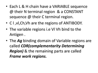 Antibody | PPT