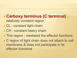 Immunoglobulins | PPT