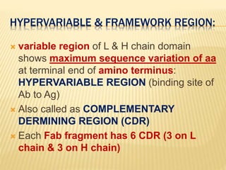 Immunoglobulins | PPT